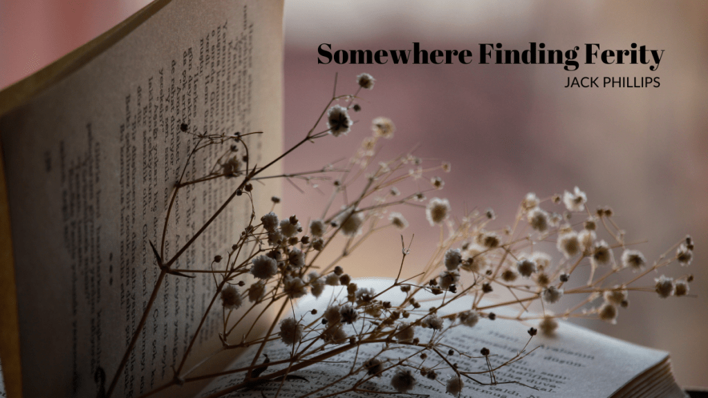 Somewhere Finding Ferity by Jack Phillips - Flora Fiction
