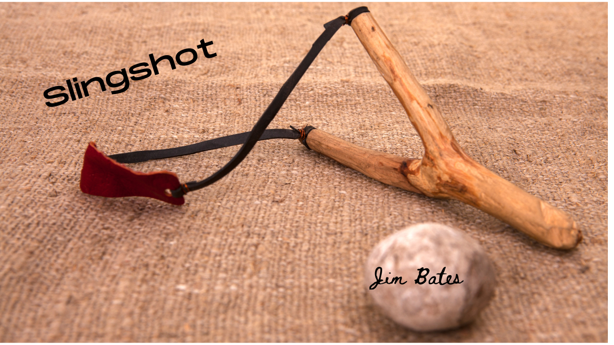 Slingshot by Jim Bates – Flora Fiction